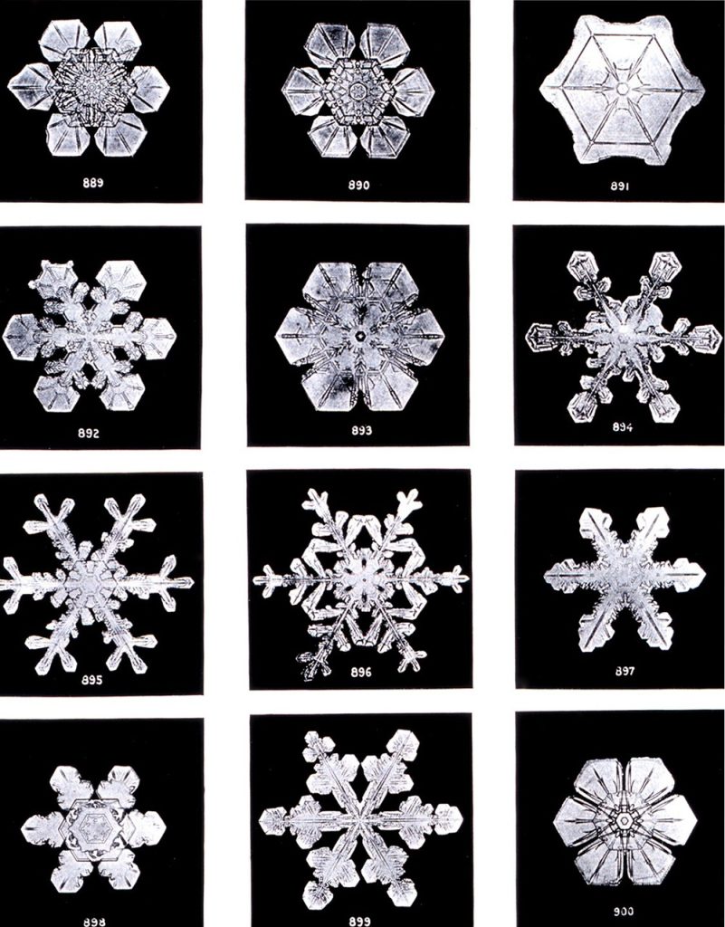 Masaru Emoto - Avoir confiance en soi